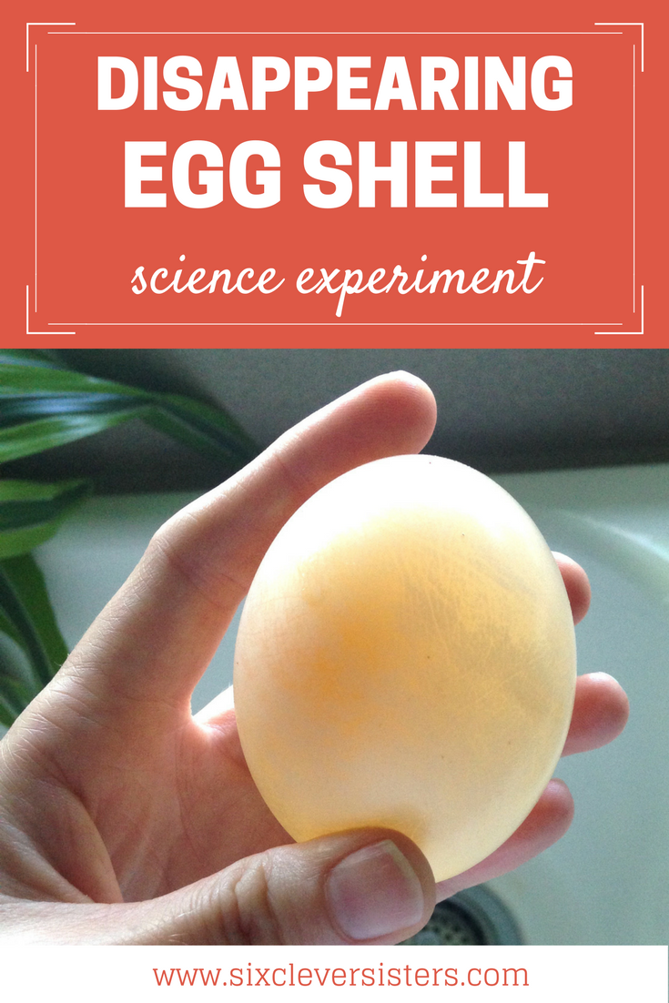 Disappearing Egg Shell Activity - Six Clever Sisters