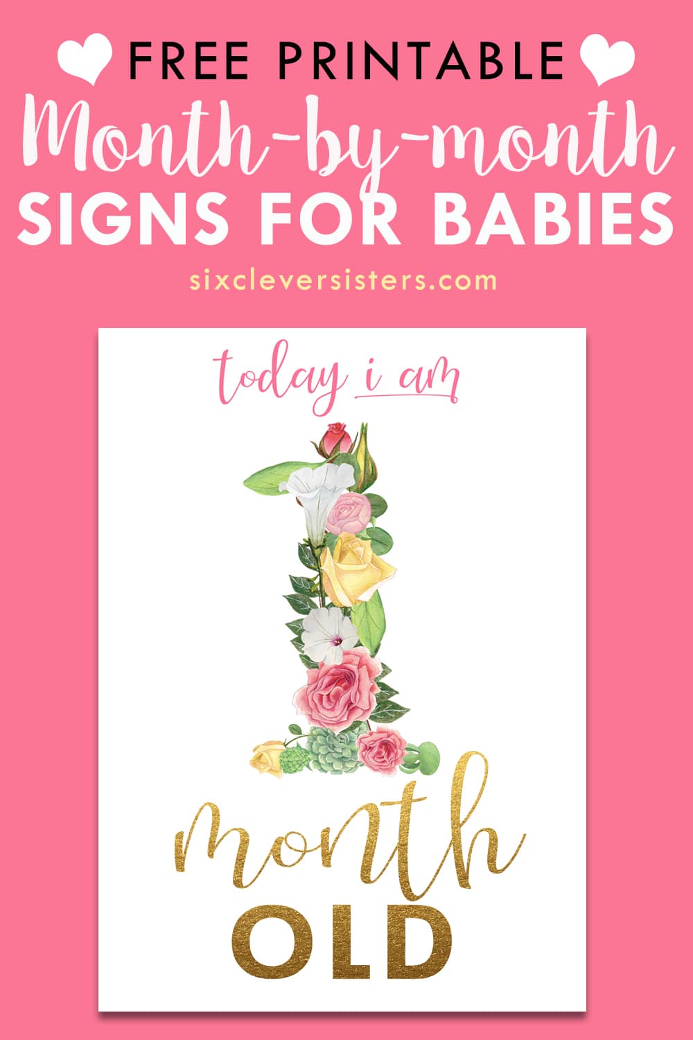 Floral Month Signs for Baby Pictures - Six Clever Sisters