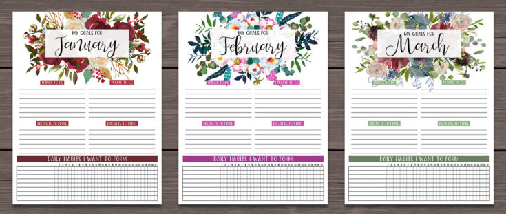Monthly Goals Printable - Six Clever Sisters