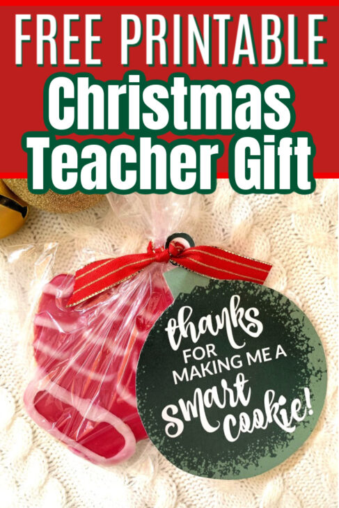 Easy Teacher Christmas Gift Idea with Free Printable Tags - Six Clever ...