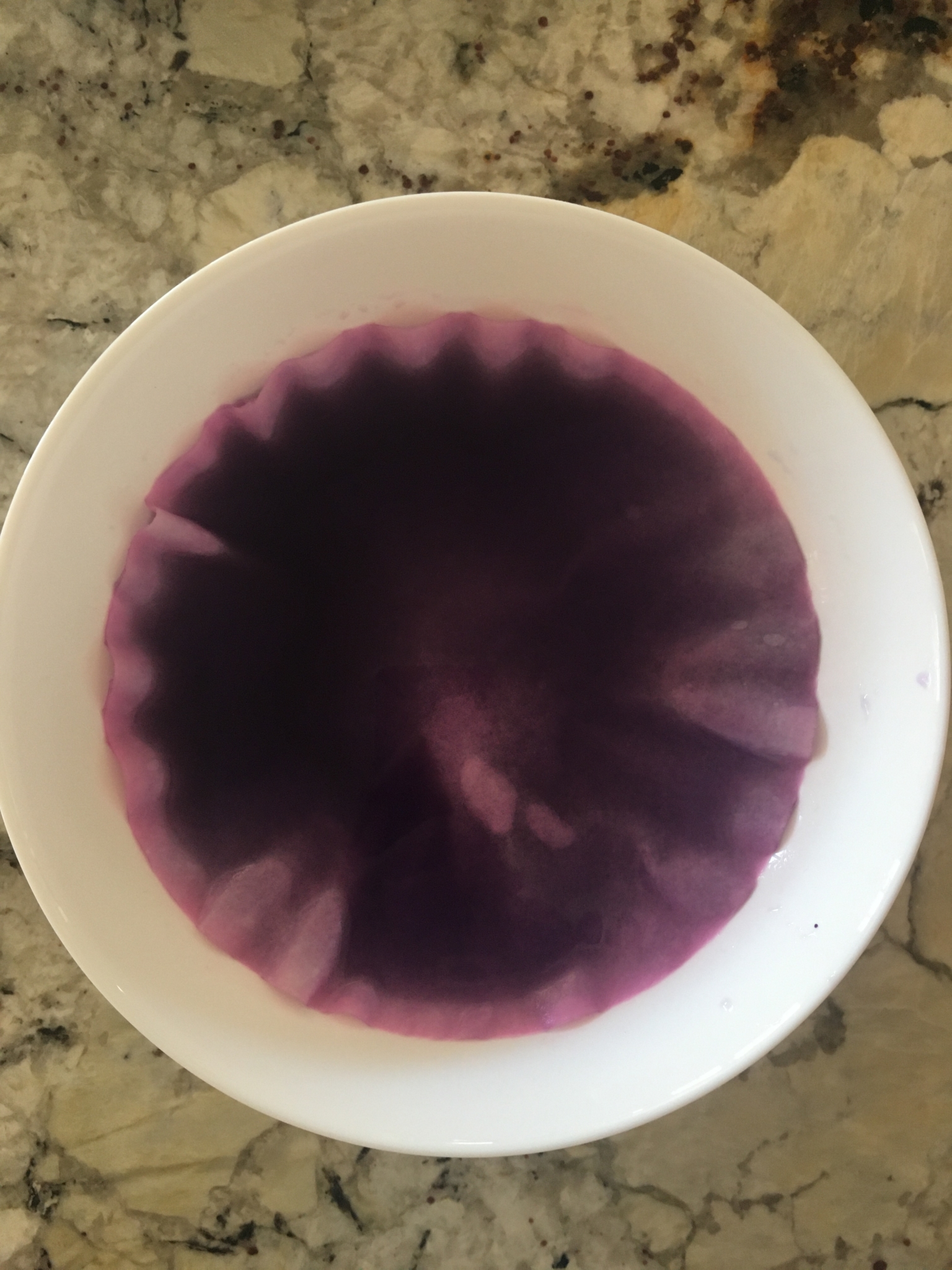 How to Dye Coffee Filters the Easy Way - Six Clever Sisters