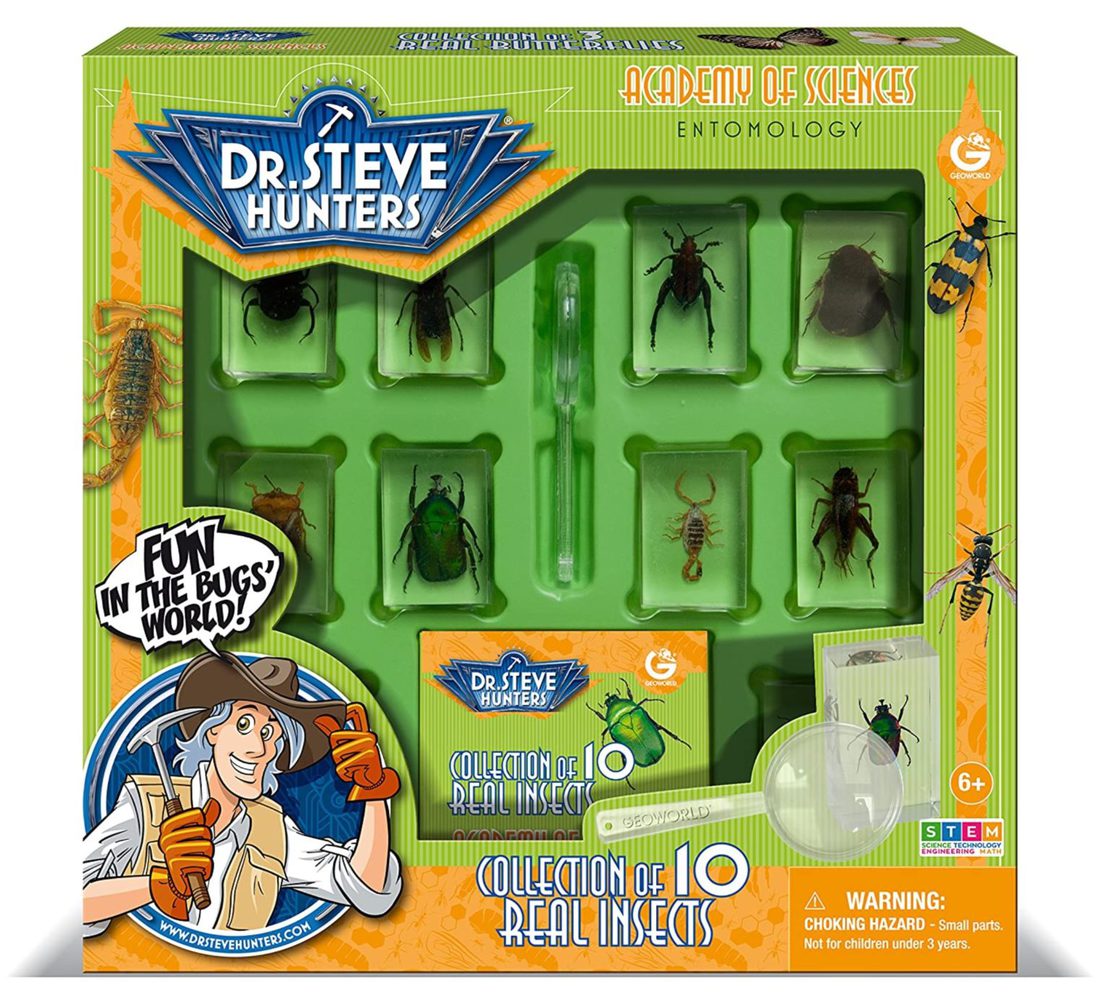 The Best Gifts for Kids that Love Bugs! - Six Clever Sisters