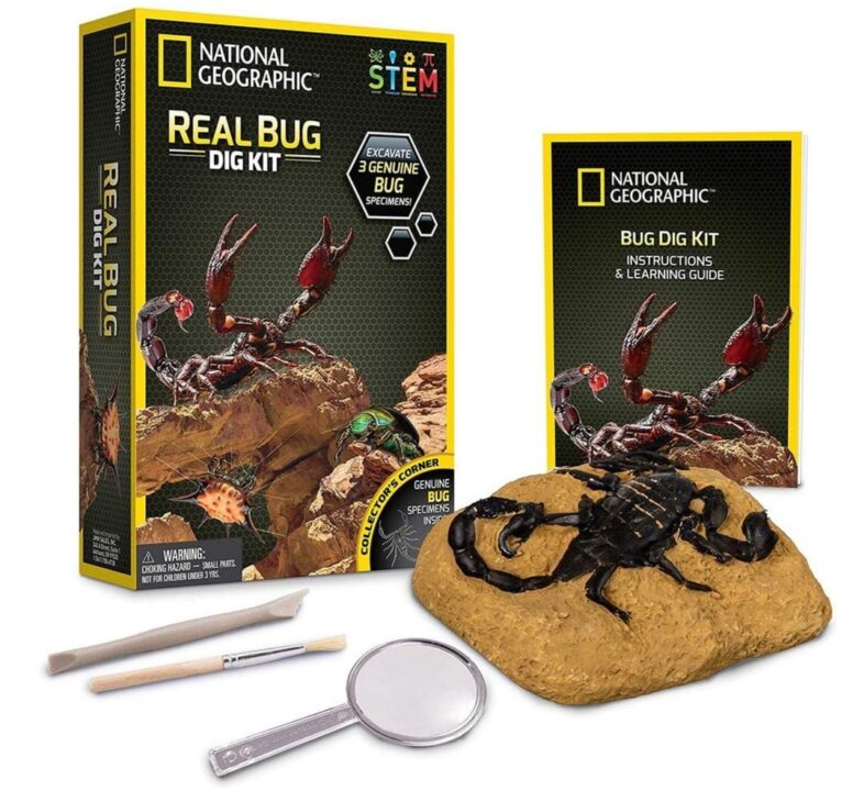 The Best Gifts for Kids that Love Bugs! - Six Clever Sisters