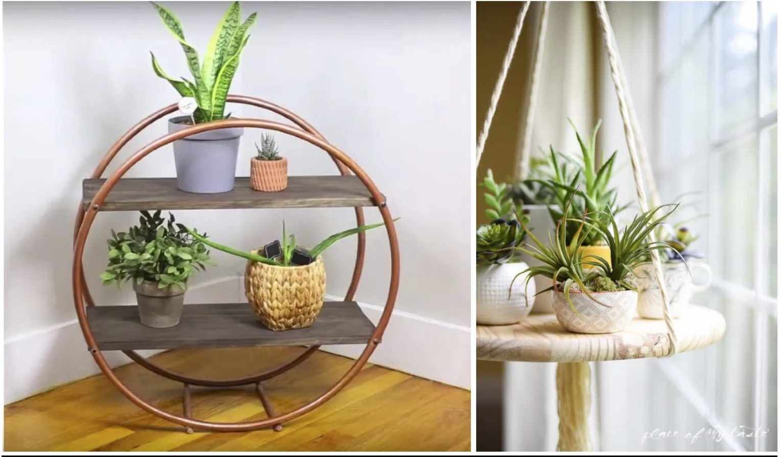 15 Stunning Plant Shelf Ideas That Will Make Your Home Look Greener ...