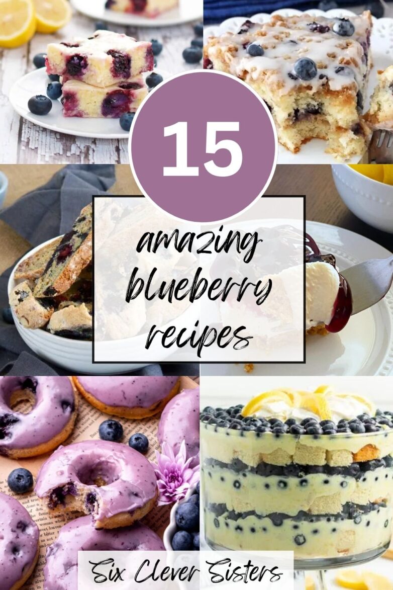 15 Blueberry Recipes You Will Want to Make - Six Clever Sisters