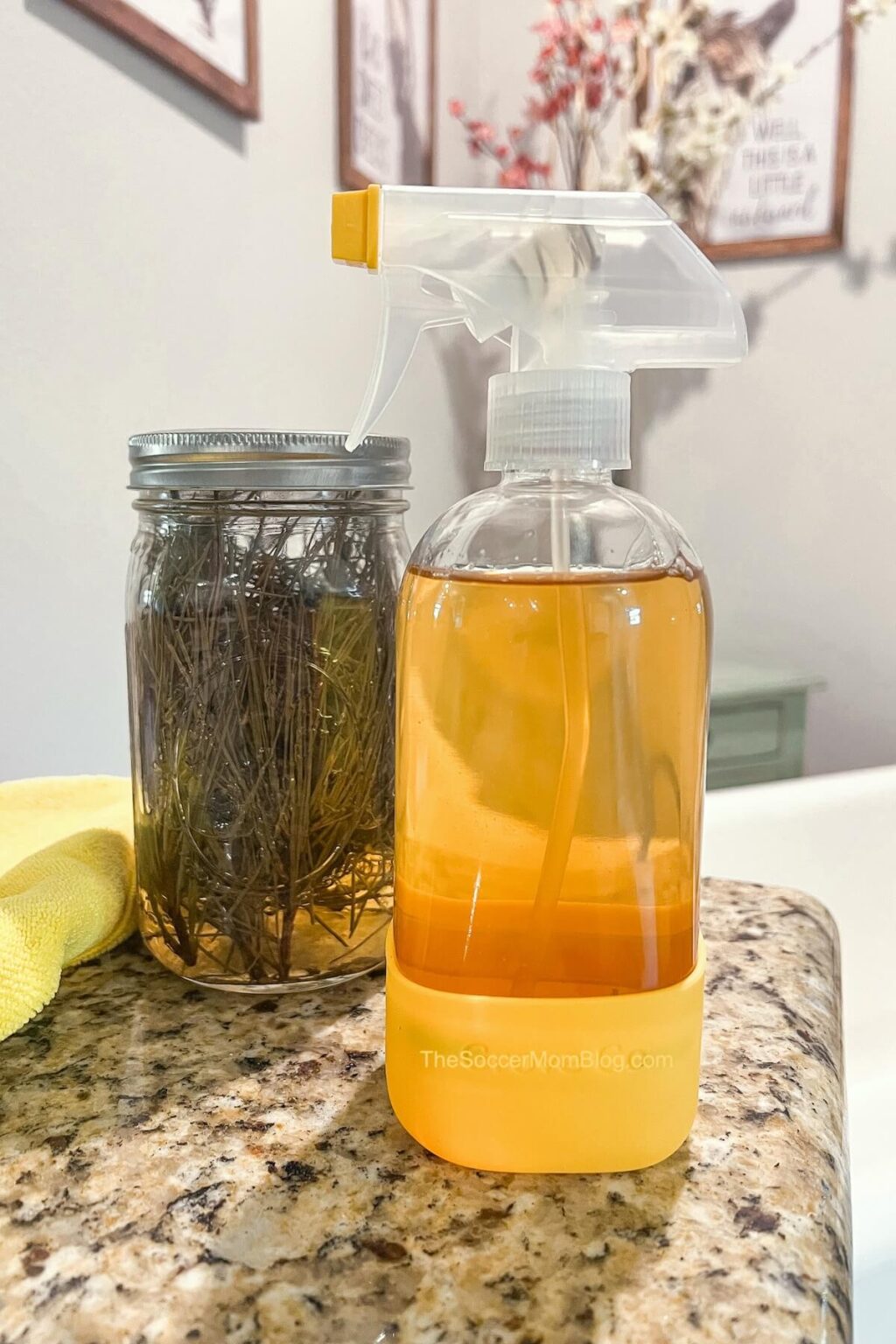 The Best DIY Natural Cleaners with Clean Ingredients - Six Clever Sisters