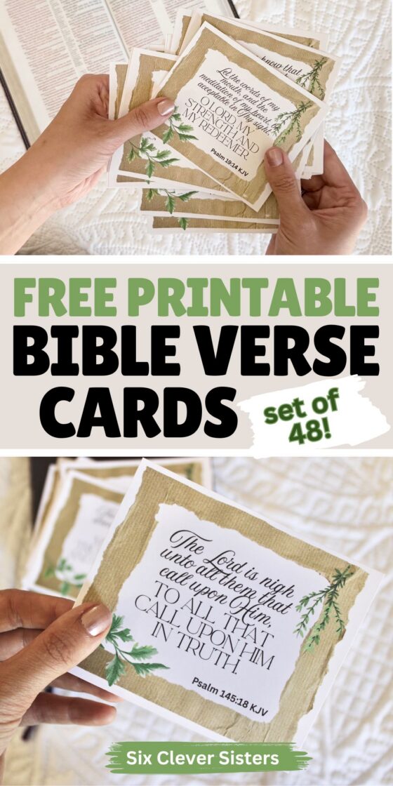 Free Printable Pretty Bible Memory Verse Cards (48 Pack PDF Download ...